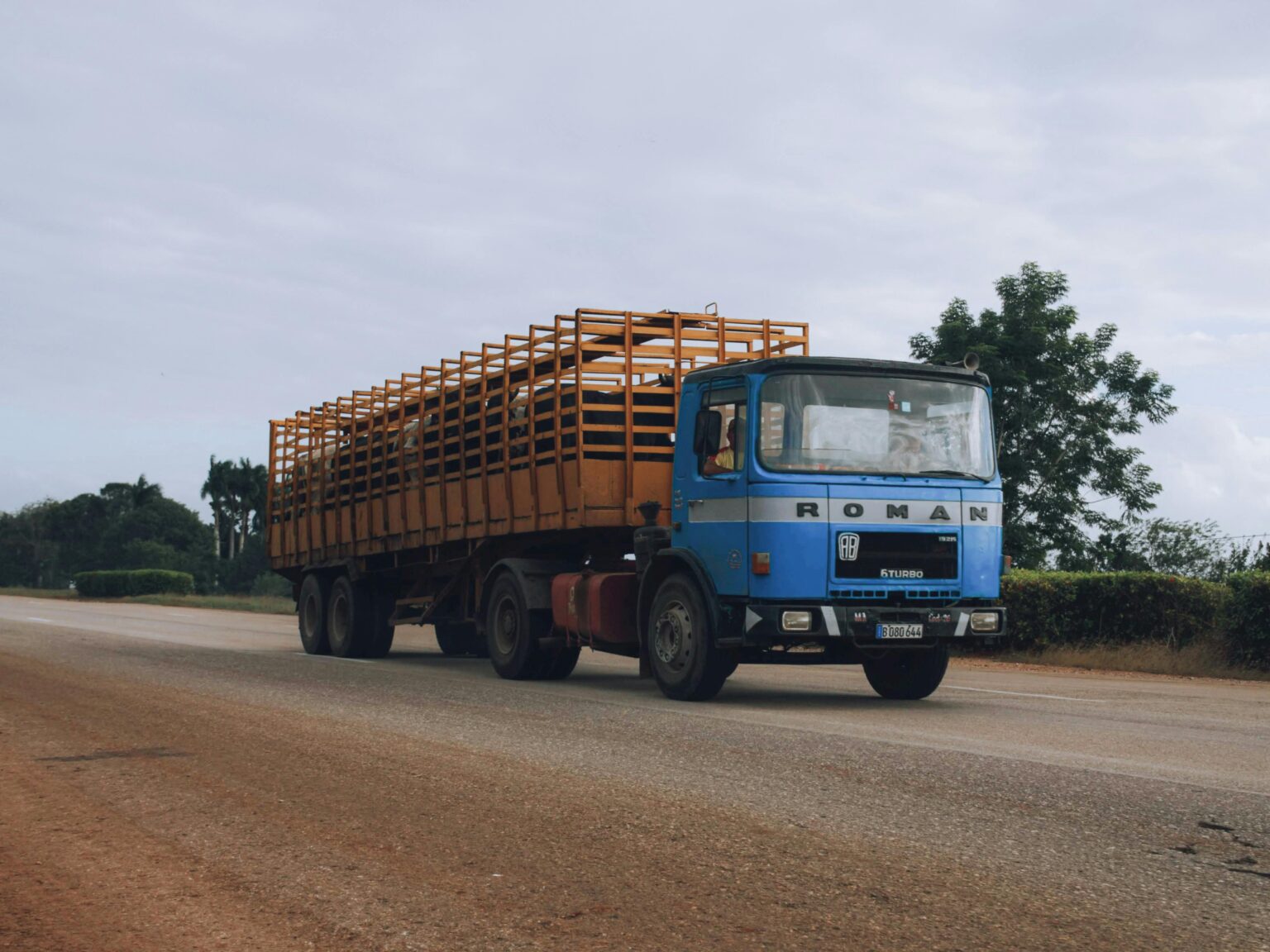 Railway Cargo Transport in Brazil: Systems, Operations, and Economic Role